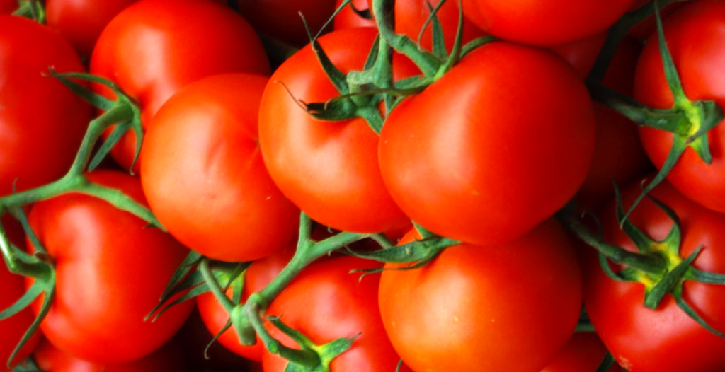 food-manufacturing-placeholder - Greenmount Foods - Premium Vegetables ...